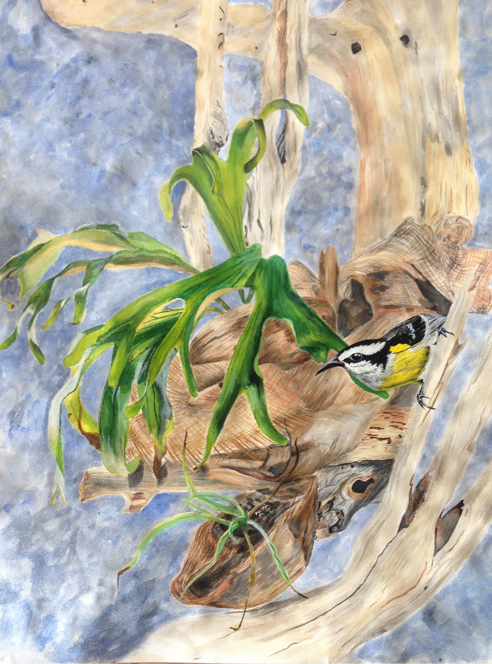 Life Be Still_by Kaylee Meyer – Halo Foundation